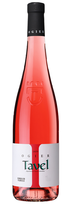 La Maison Ogier - Châteauneuf du Pape - Accueil